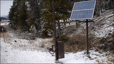 Roadway Animal Detection System (RADS) | Car News | Auto123