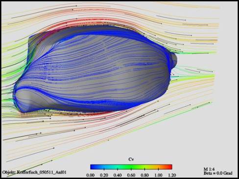DCX creates Bionic car from Boxfish | Car News | Auto123