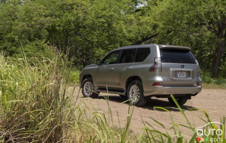 2020 Lexus RX (350 + 450h) and 2020 Lexus GX first drive | Car Reviews ...